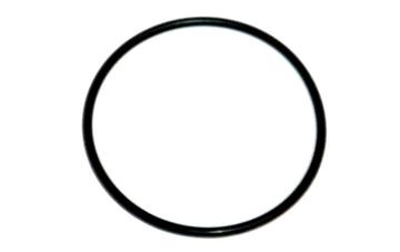 Kawasaki Throttle Body O-Ring - Kawi Performance