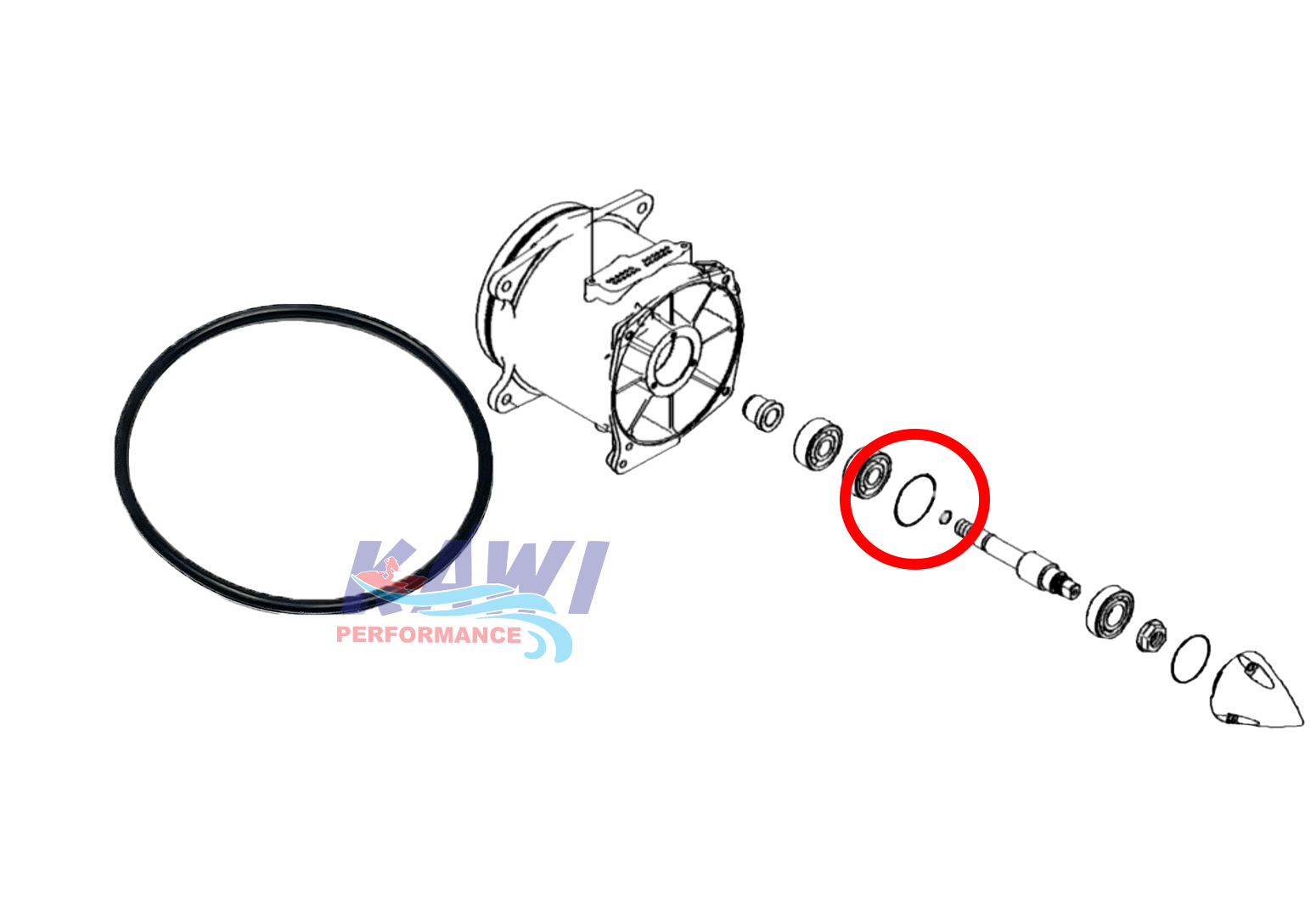 Kawasaki Jet Pump Rear Bearing O-Ring - Kawi Performance